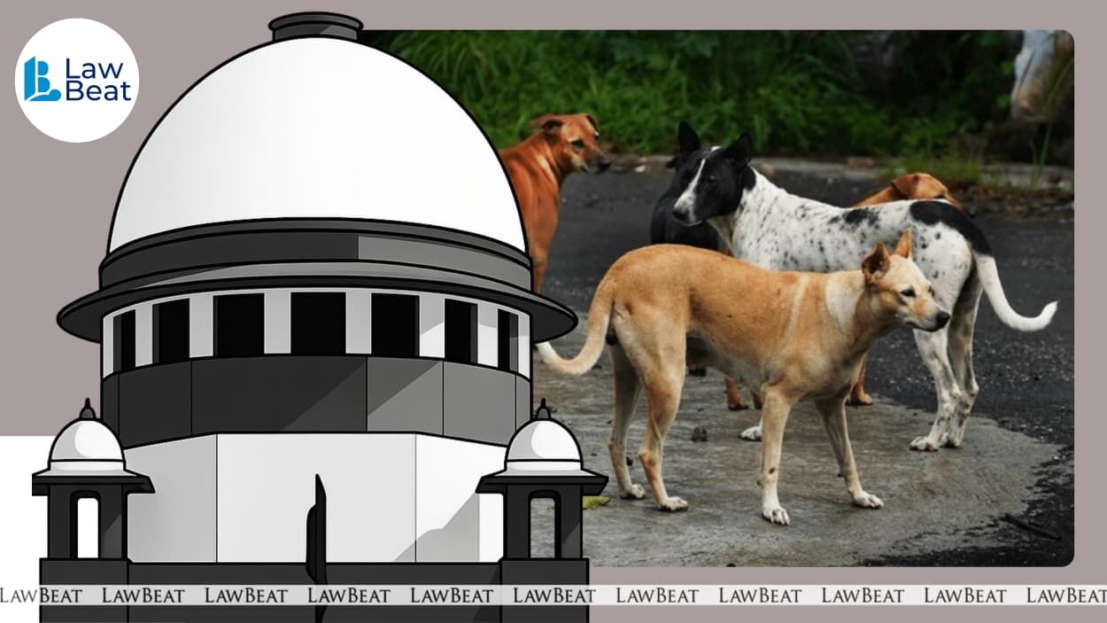 “People Are Being Bitten, Dying”: Supreme Court Raps States, Hears ...