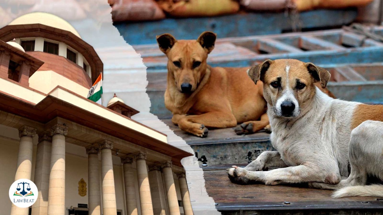 Supreme Court issues notice in plea seeking study over efficacy of ...